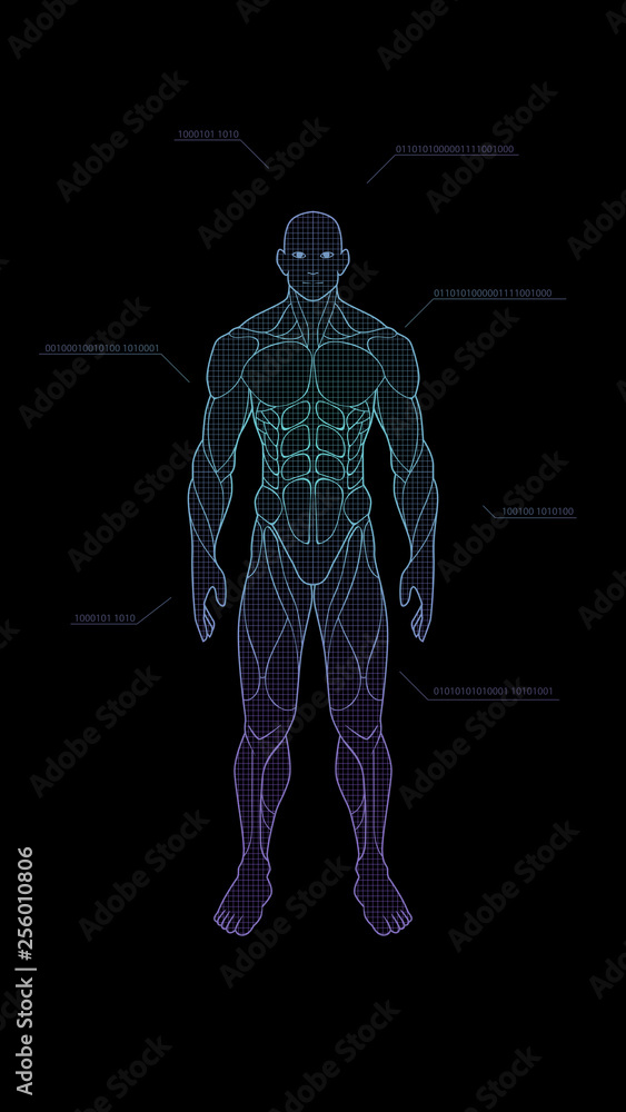 contour shape human body anatomy neon hologram projected at black ...