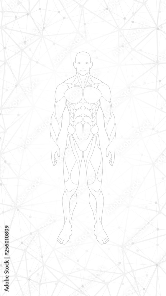 halftone gray white wallpaper background . contour shape human body ...