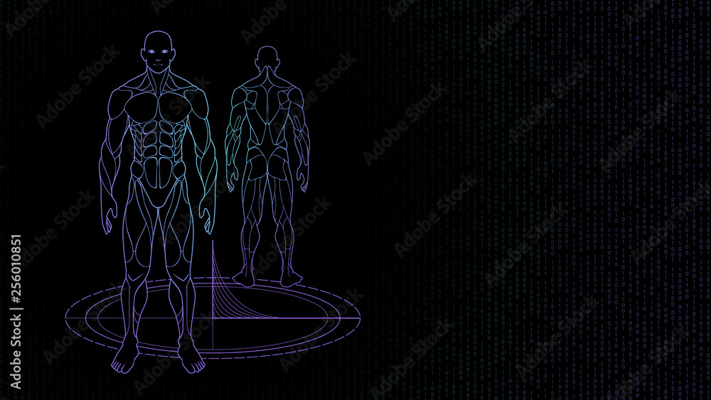 contour shape human body anatomy neon hologram projected at black ...