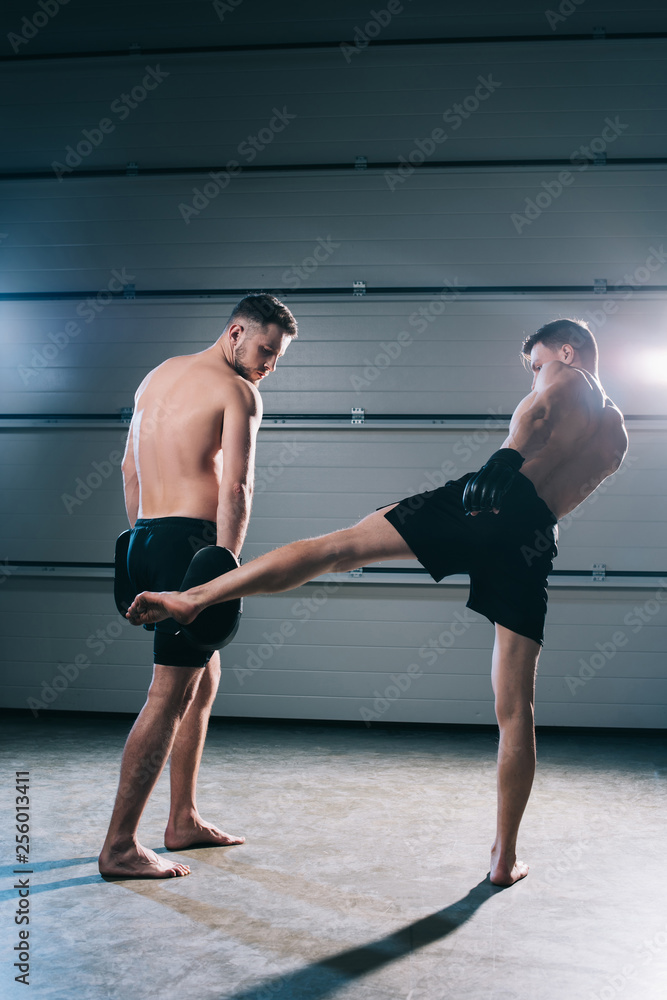 strong muscular shirtless mma fighter practicing low kick with another ...