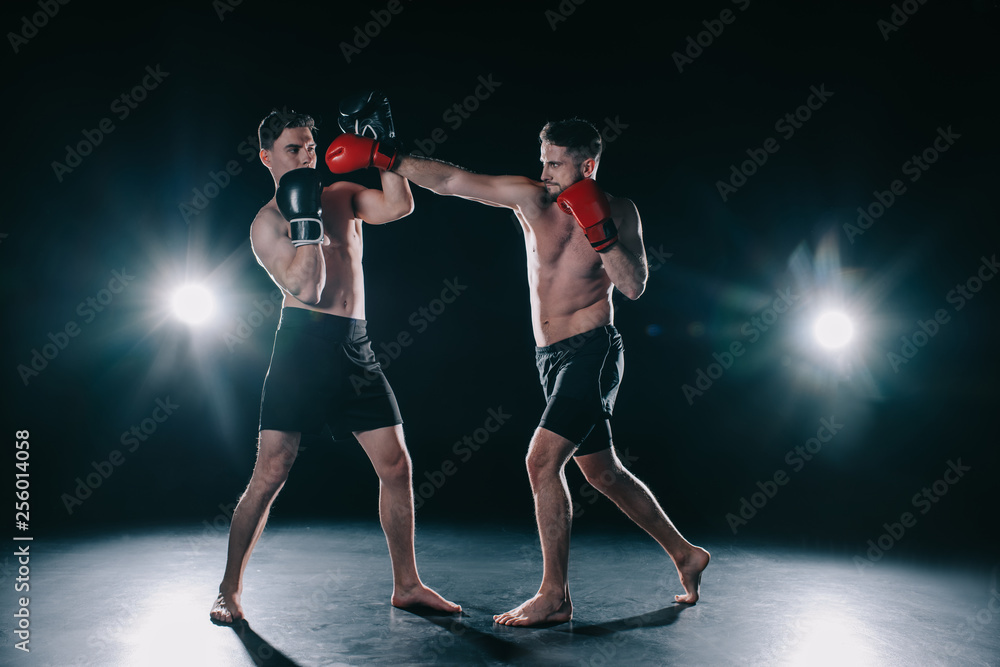shirtless muscular mma fighter in boxing gloves punching another in ...
