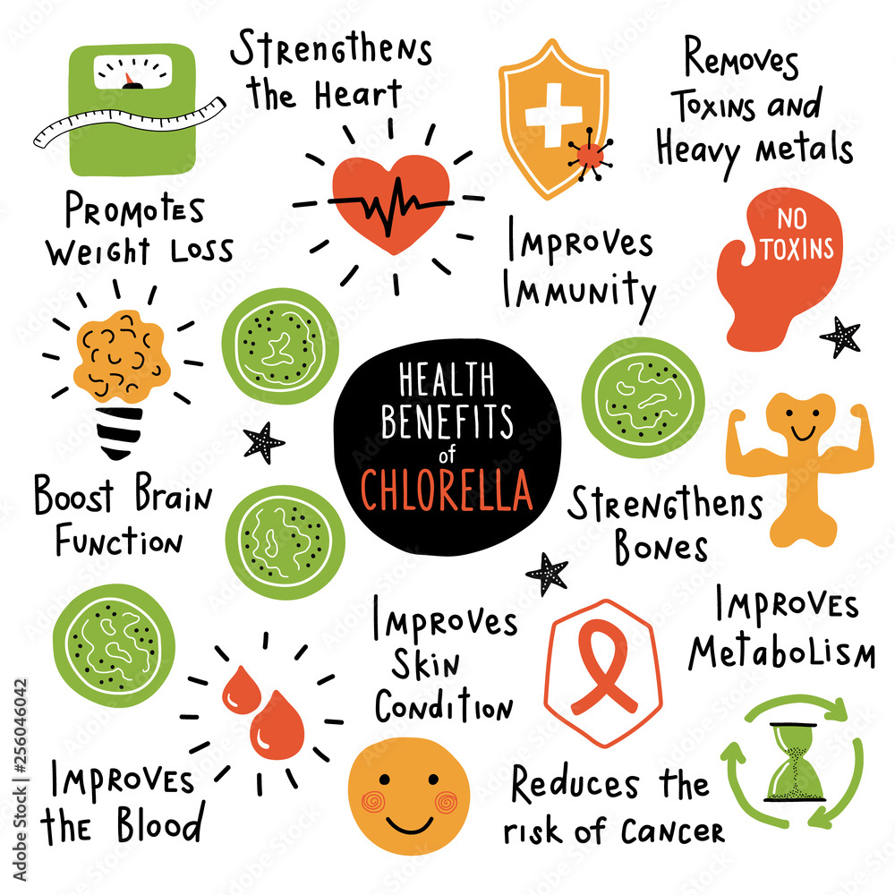 Vetor de Chlorella, edible seaweed, health benefits. Funny hand drawn ...