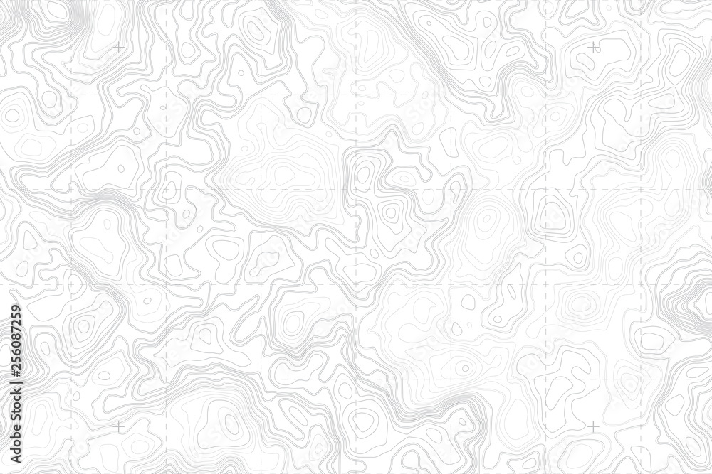 Naklejka Abstract Blank Detailed Topographic Contour Map Subtle White 