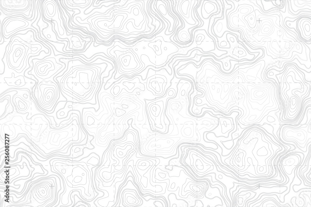 Abstract Blank Detailed Topographic Contour Map Subtle White Vector ...