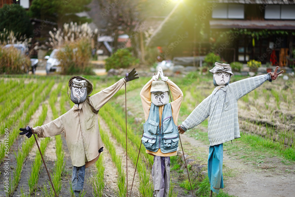 Foto de Japanese scarecrows protecting the Paddy field in Shirakawago ...