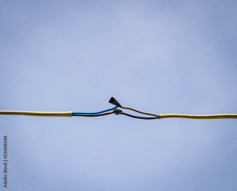 metal, design, closeup, object, stick, texture, animal, background ...