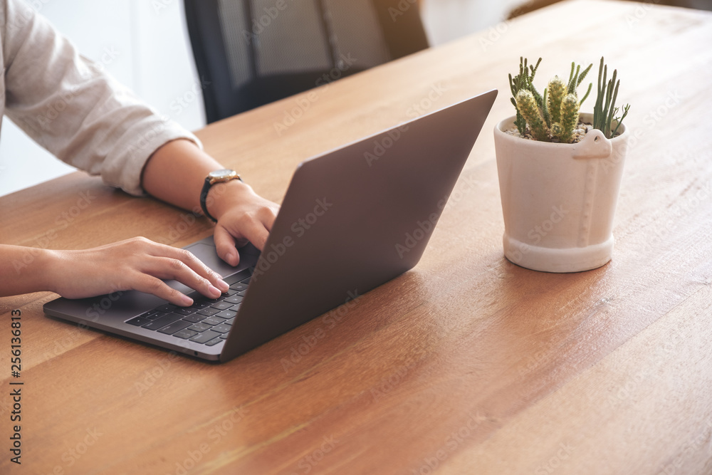 Closeup image of woman's hands using and typing on laptop keyboard on ...