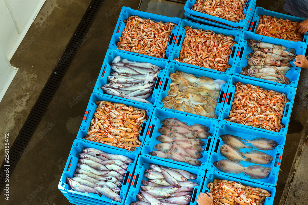 Stockfoto Blue plastic containers with catch of sea fish, shrimp ...