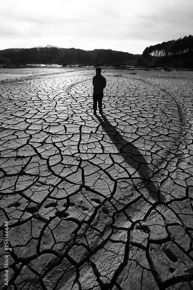 the dry river affected environment of life, ecosystems caused by ...