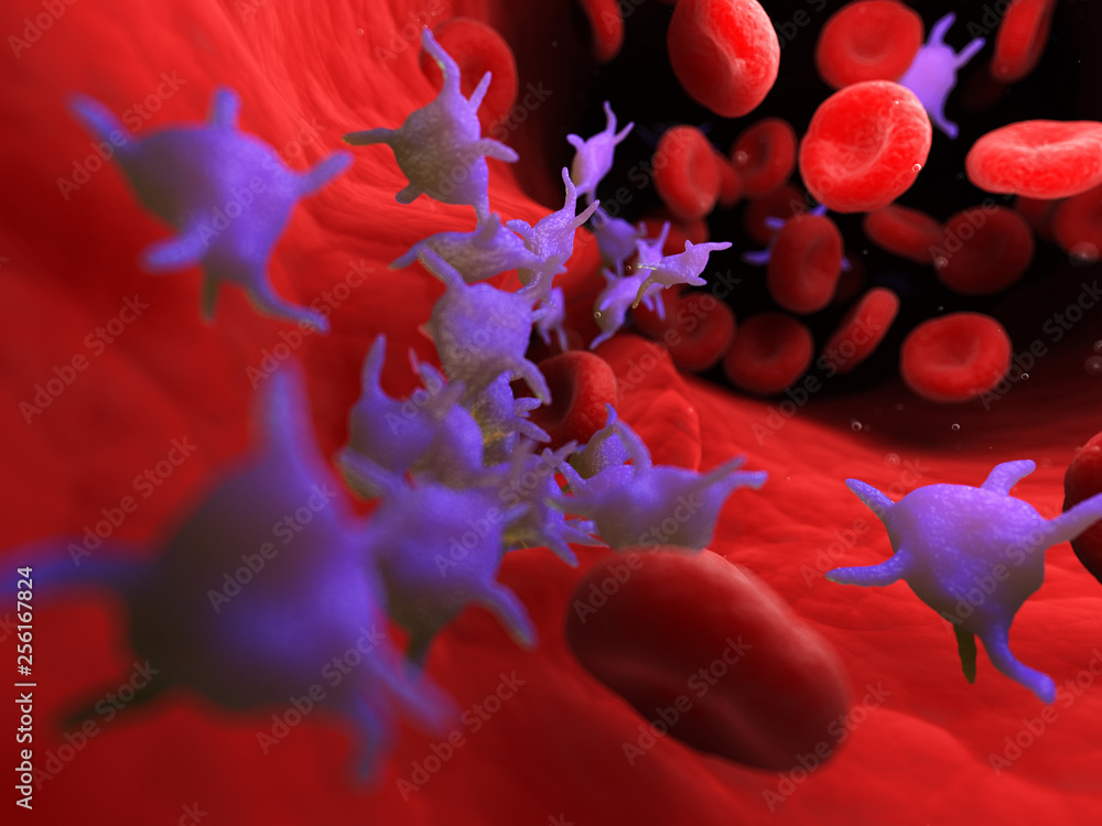3d rendered medically accurate illustration of active blood platelets ...
