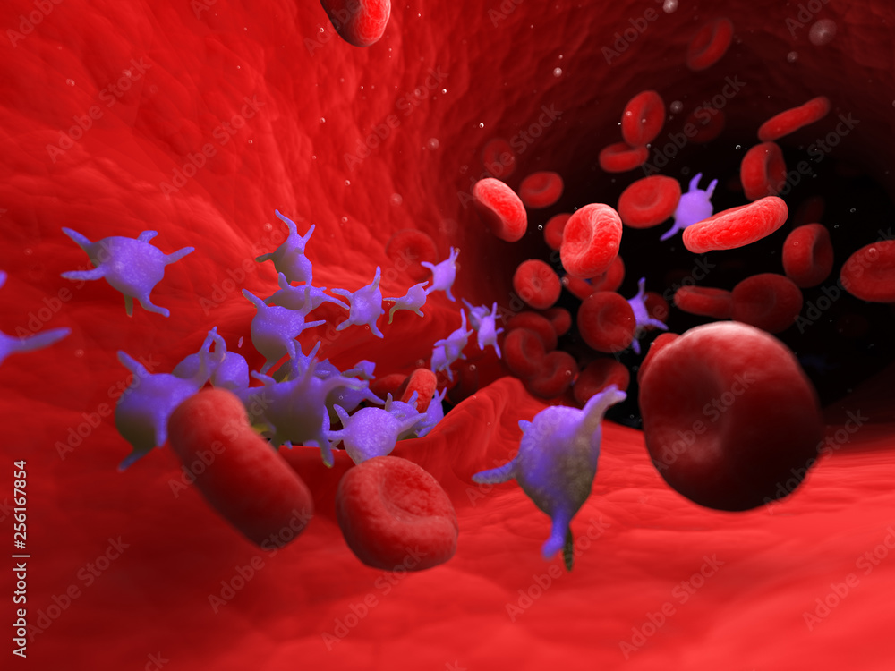 3d rendered medically accurate illustration of active blood platelets ...