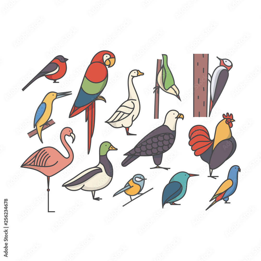 Bird, vector outline illustration, icon set, white background Stock ...