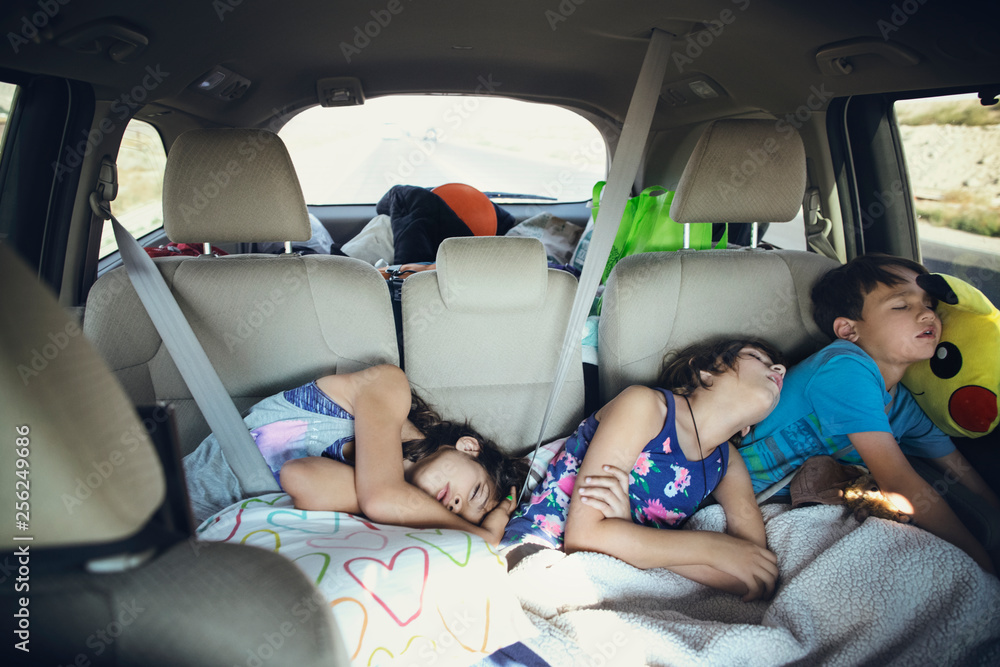 Sleeping Kids In The Car