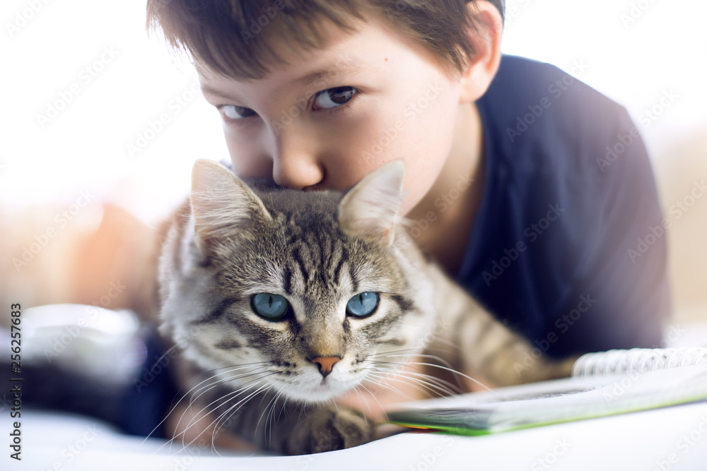 Little boy at home holding his lovely fluffy cat. Gray tabby cute ...
