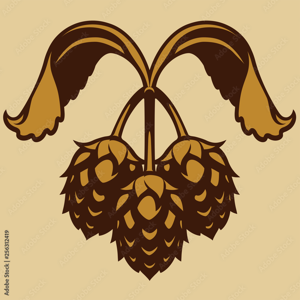 Hops vector visual graphic icon or logo, ideal for beer, stout, ale ...