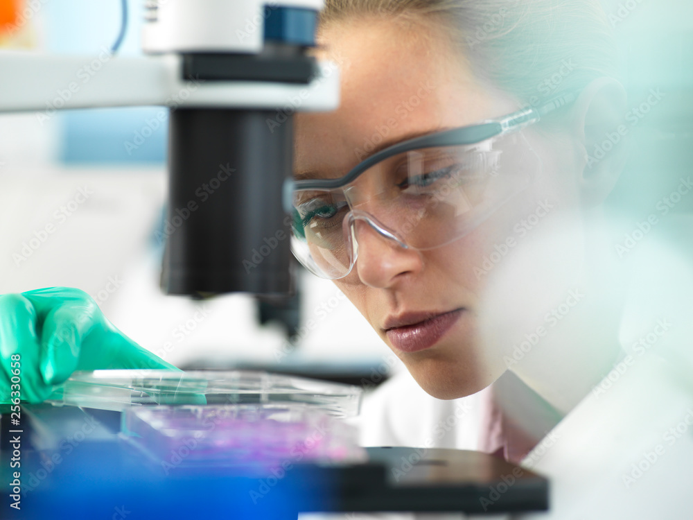 Cell Research, Scientist placing a multi well plate under the ...