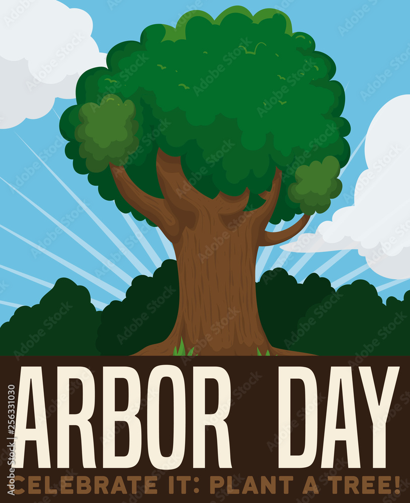 Beautiful Tree View to Celebrate Arbor Day, Vector Illustration Stock ...