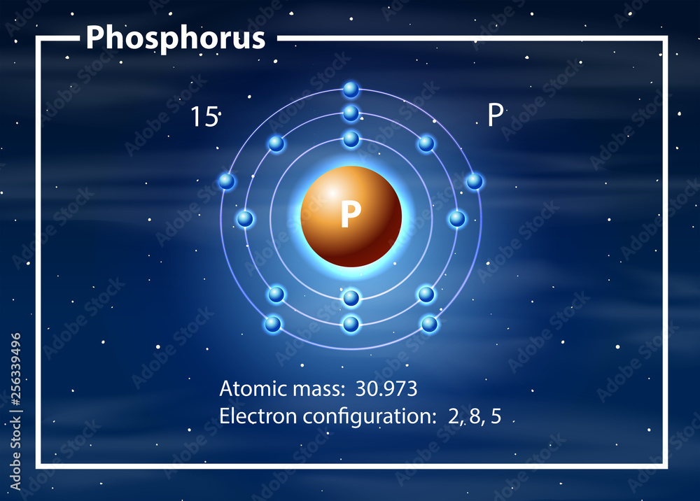 Phosphorus atom diagram concept Stock Vector | Adobe Stock