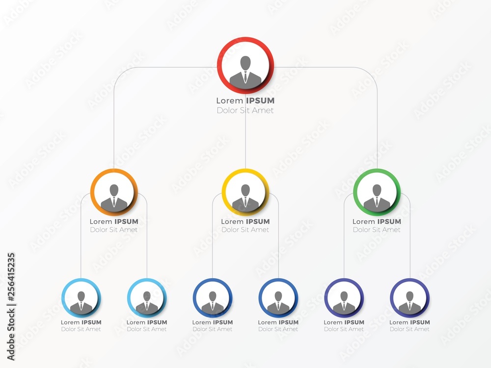 organizational structure of the company. business hierarchy infographic ...