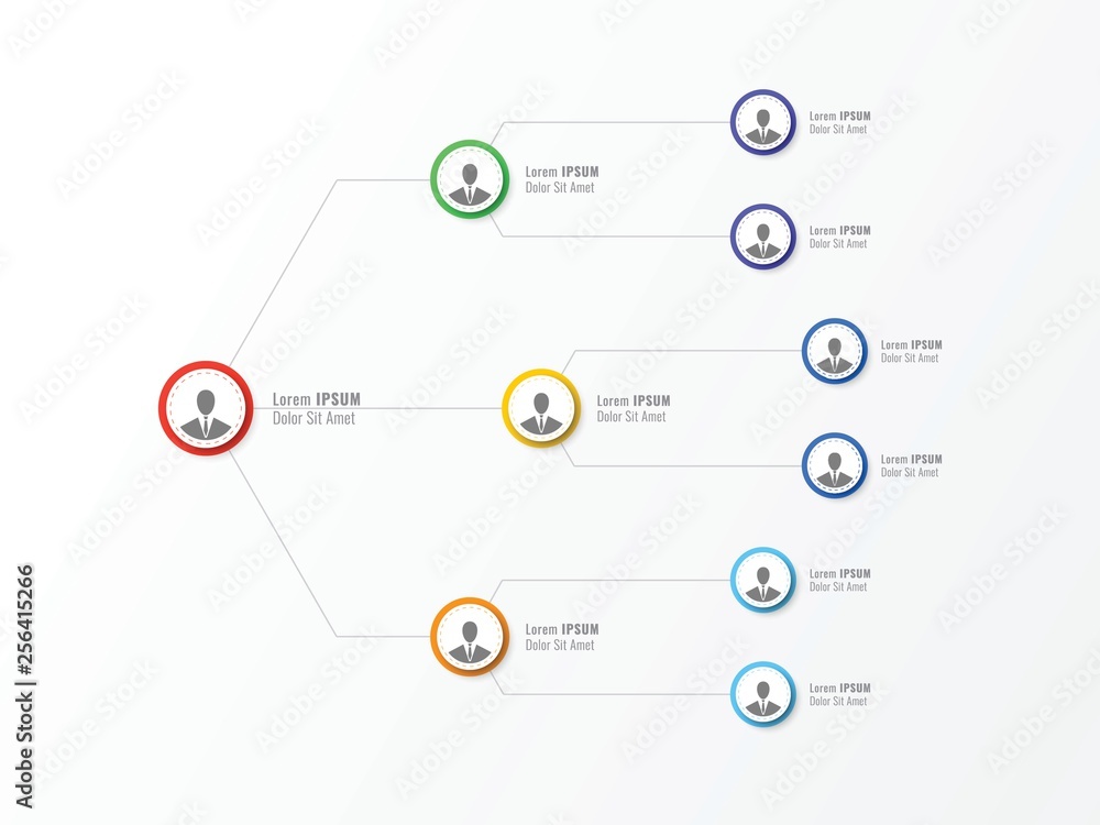 organizational structure of the company. business hierarchy round ...