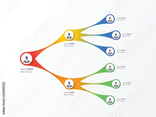 organizational structure of the company. business hierarchy infographic ...