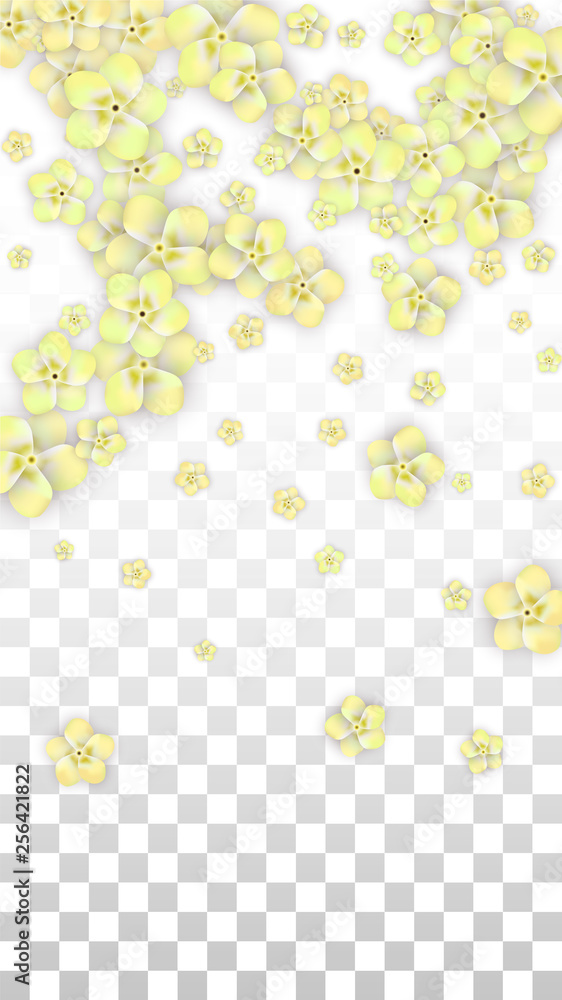 Vector Realistic Yellow Flowers Falling on Transparent Background ...