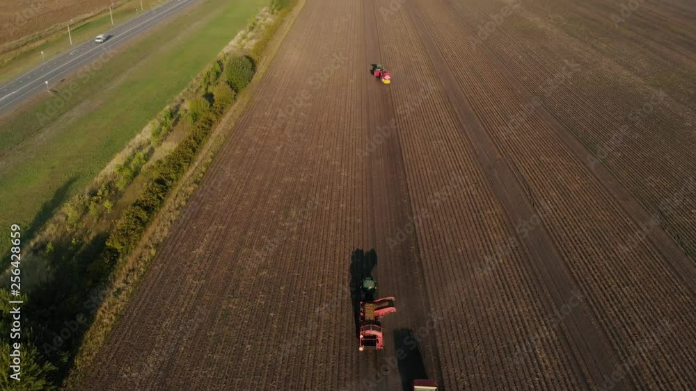 Farm machinery harvesting potatoes. Farmer field with a potato crop ...