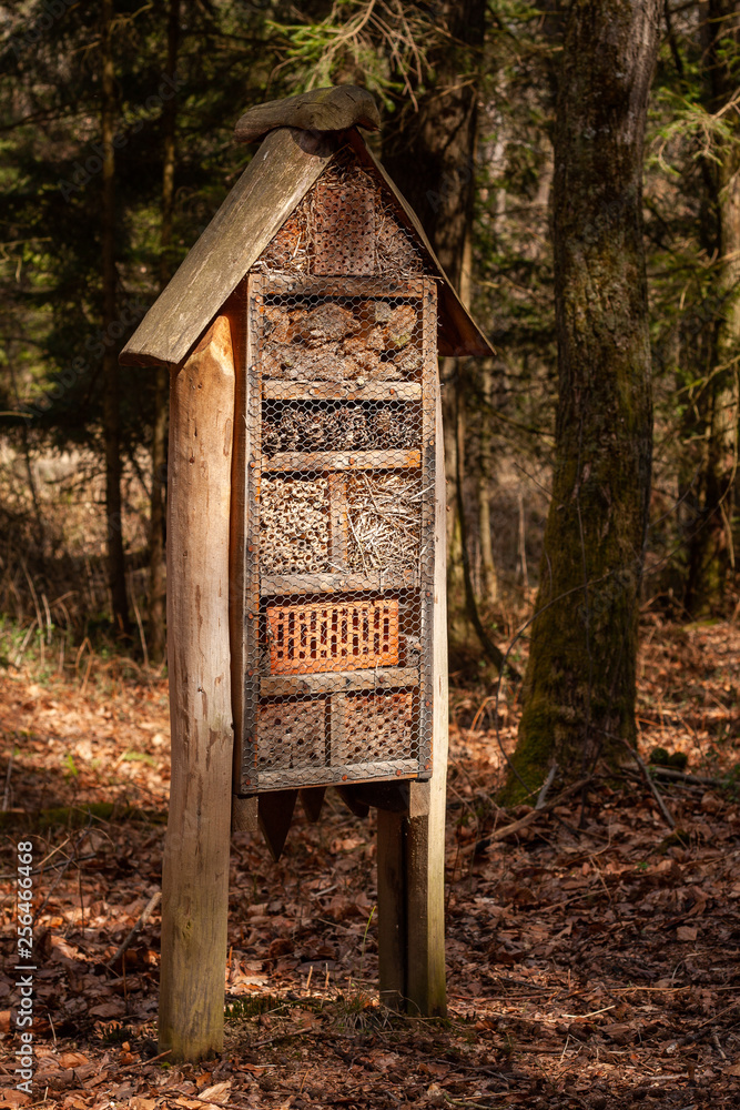 Wild bees building its home in spring in a wooden bee hotel standing in ...
