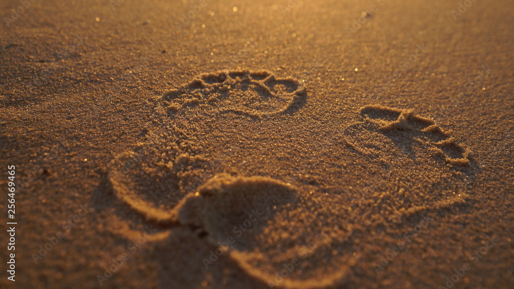 footprints in the sand Stock Photo | Adobe Stock