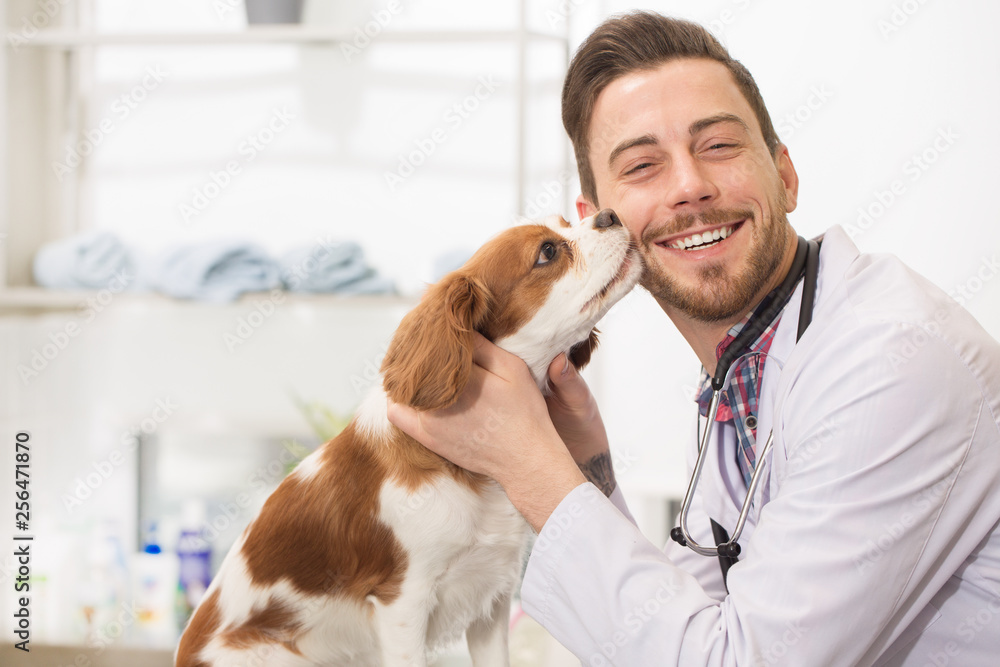 Handsome vet examining adorable puppy Stock Photo | Adobe Stock