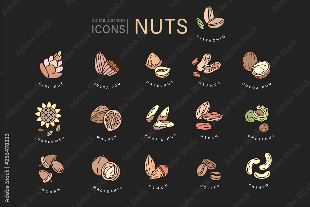 Vector icon and logo for nuts and seeds. Editable outline stroke size ...