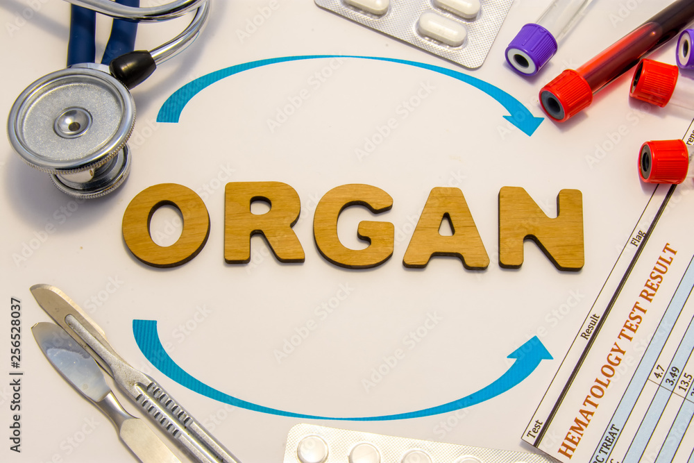 Organ transplantation concept photo. Word organ inlaid letters is ...