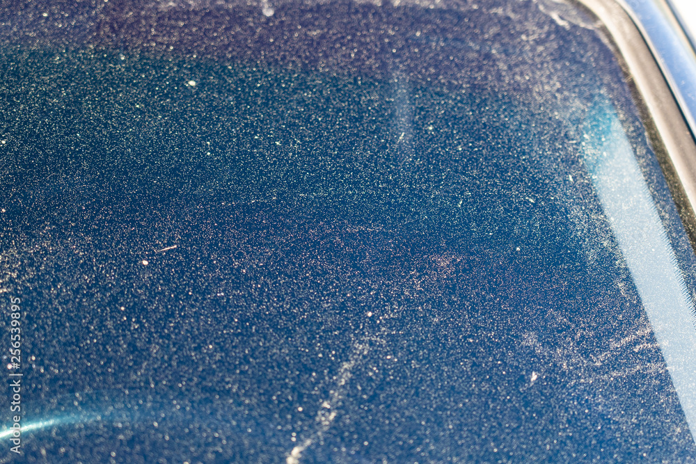 Pollen on the windshield of a car Stock Photo | Adobe Stock