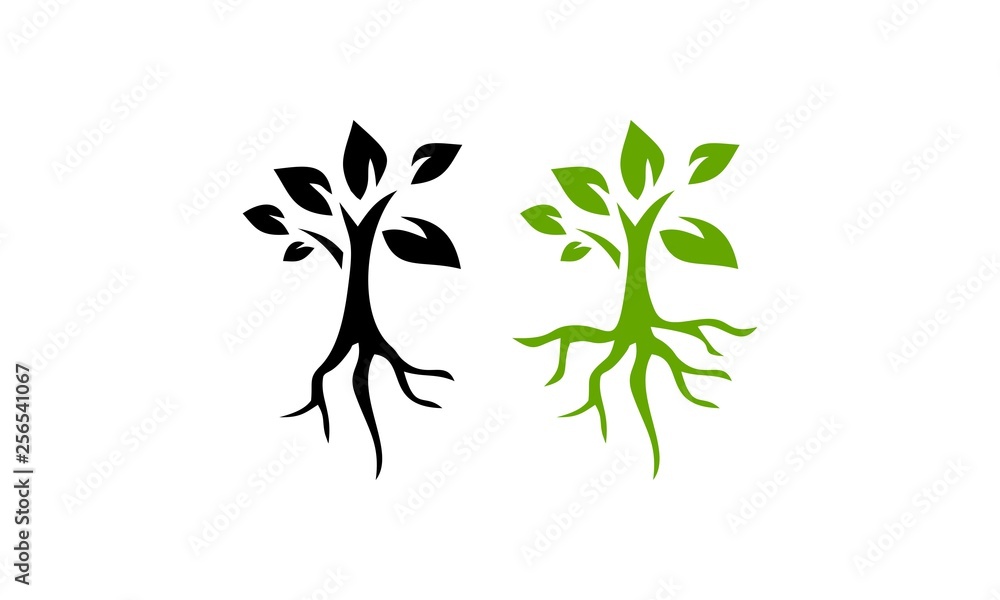 root seed plant vector Stock Vector | Adobe Stock