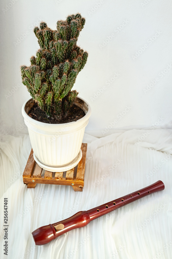 Brown wooden recorder flute next to a cactus plant in a pot. Woodwind ...