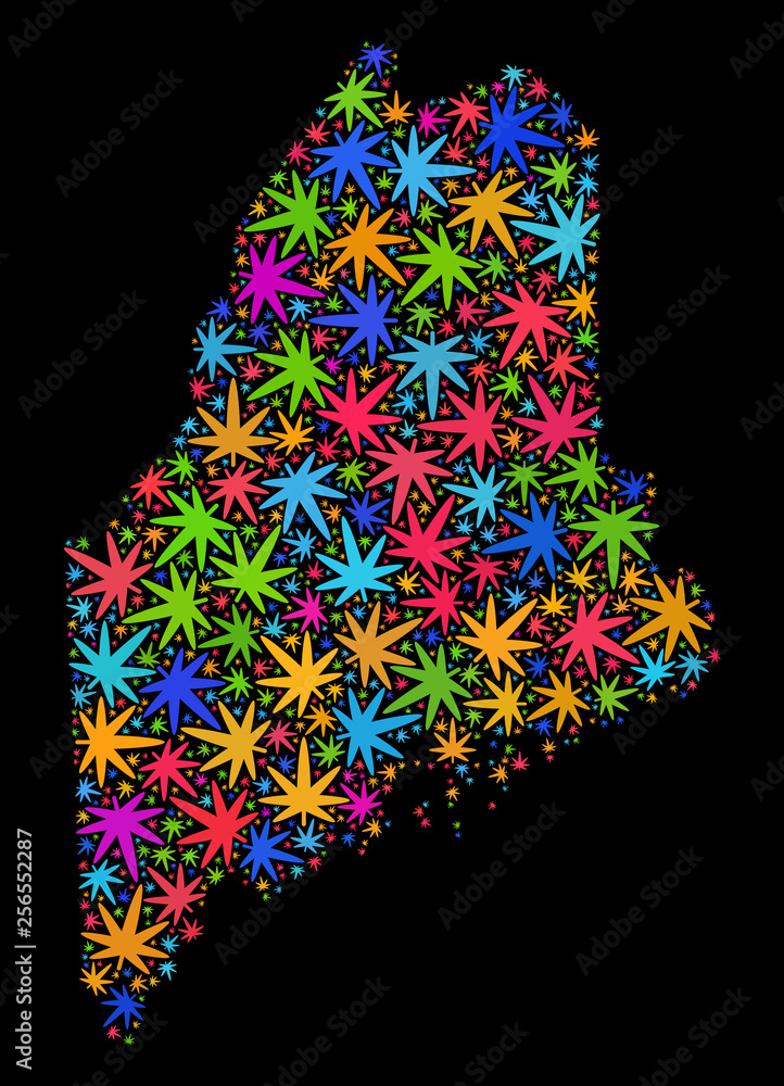Bright vector cannabis Maine Land map collage on a black background ...