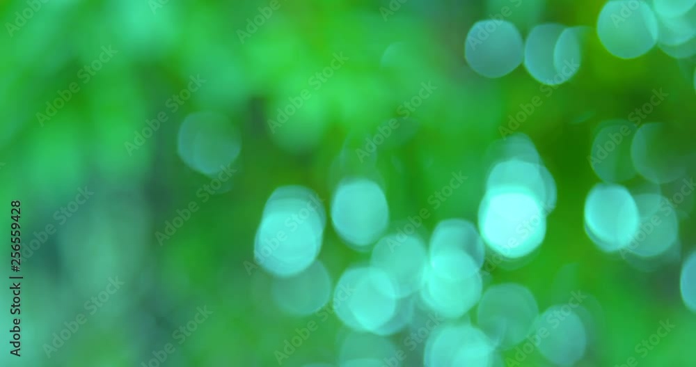 Vidéo Stock Defocused abstract nature background with green leaves and ...