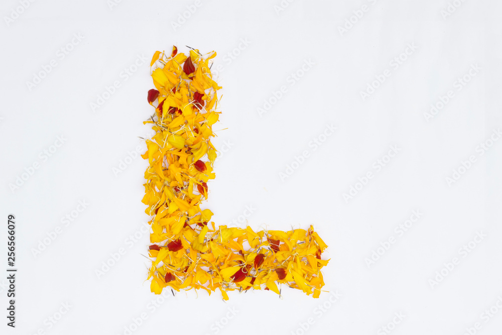 Spring Flower Letter concept of Marigold petal. Marigold petal alphabet ...