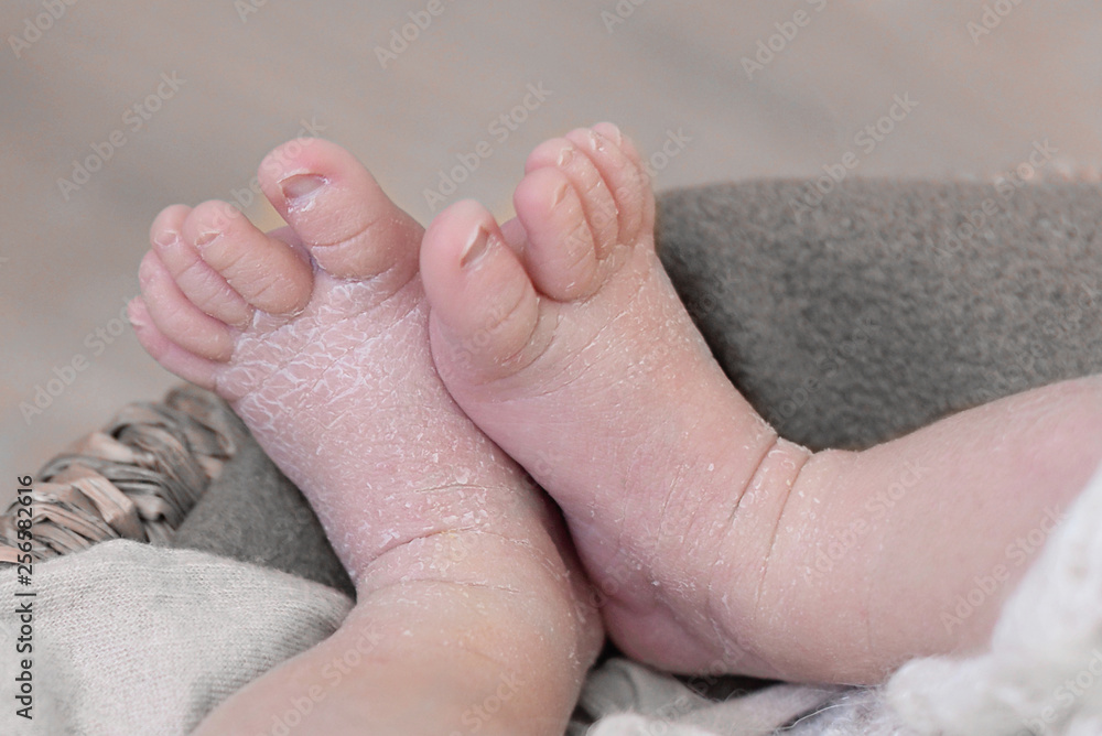 Feet of a newborn baby, toes and nails of a child, the first days of ...