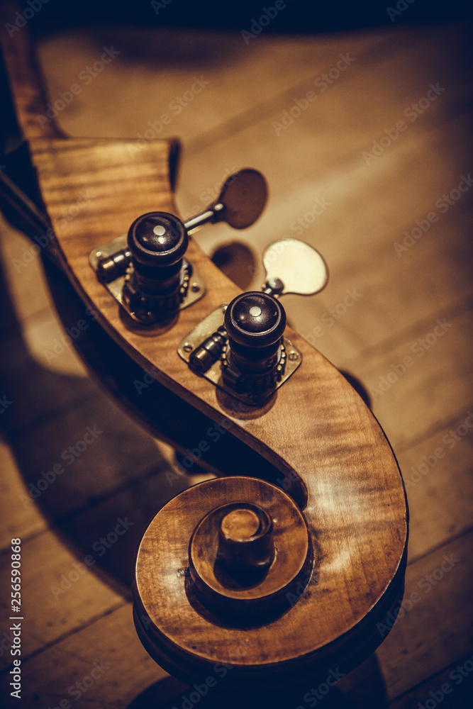 Double bass scroll and tuning pegs Stock Photo | Adobe Stock Double bass scroll and tuning pegs Stock Photo | Adobe Stock