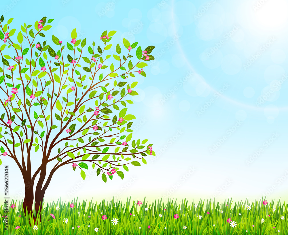 Spring nature background with green grass and blooming tree. Vector ...