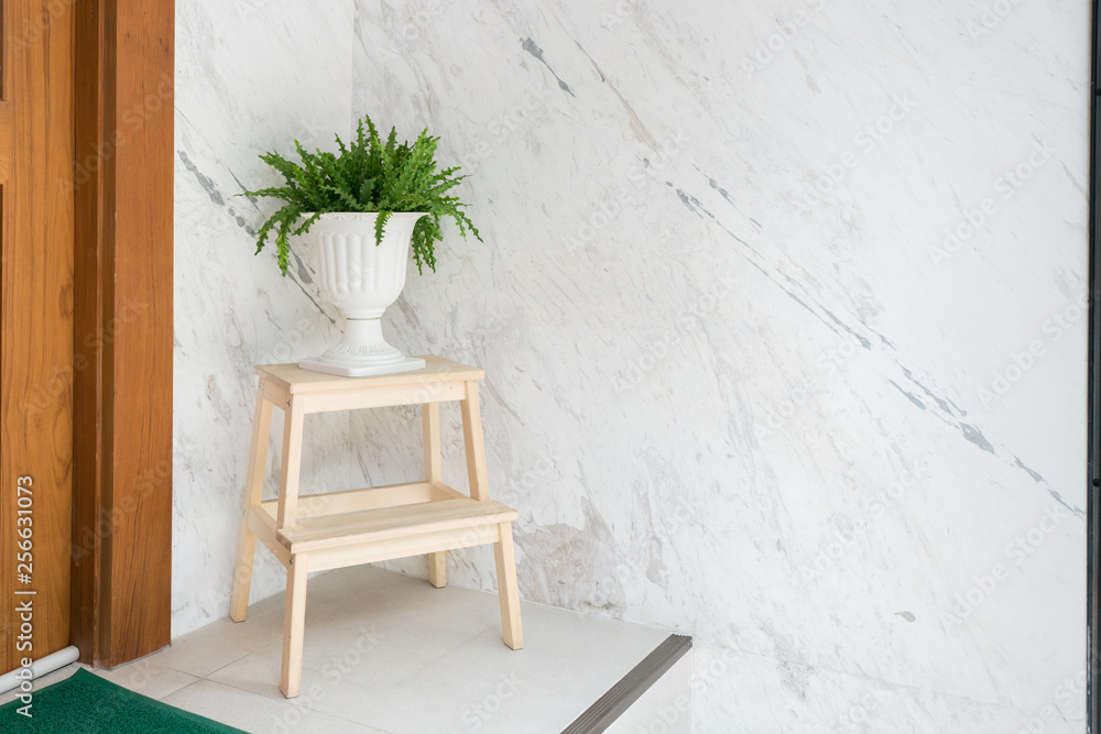 White classic vase for plant on clean wooden stair step stool in front ...