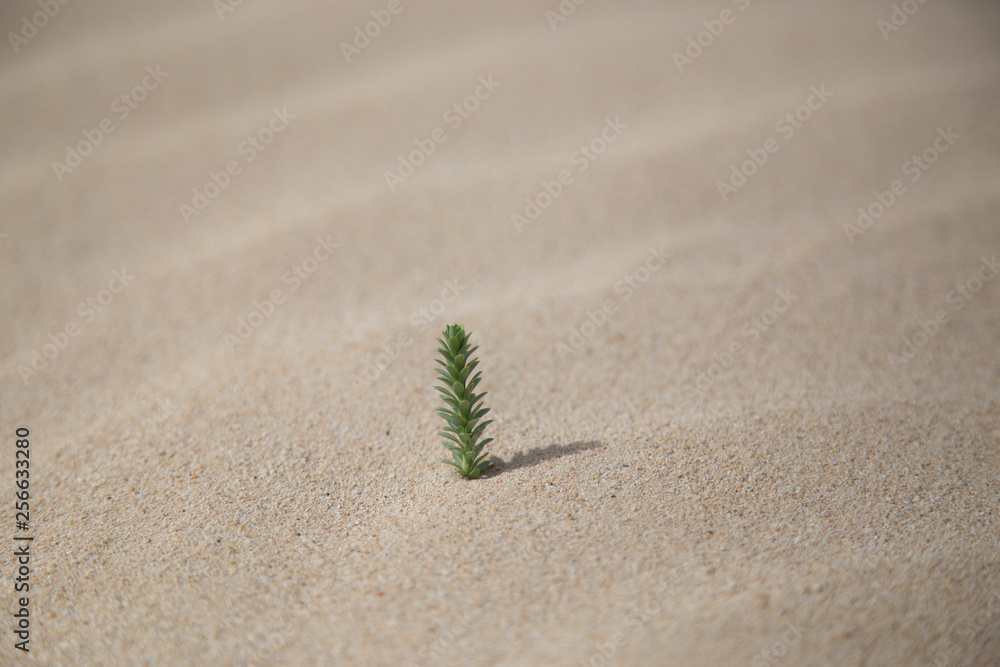 Einzig Stock Photo | Adobe Stock