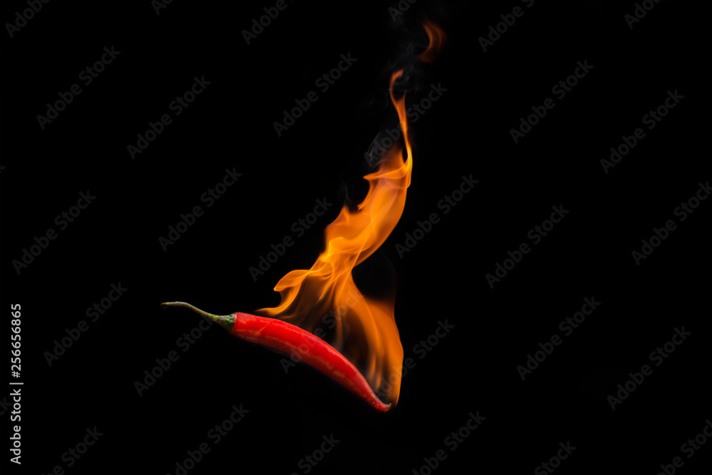 Red chilli with flame, black background, the concept of spicy ...