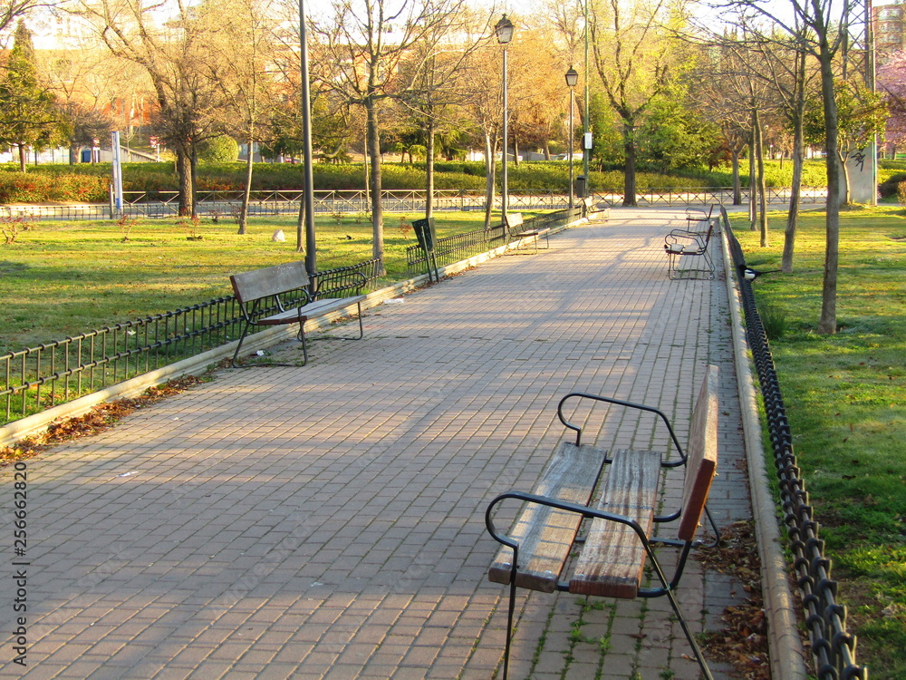 CAMINO DEL PARQUE CON BANCOS A LOS LADOS, Y SIN PEATONES , ÁRBOLES ...