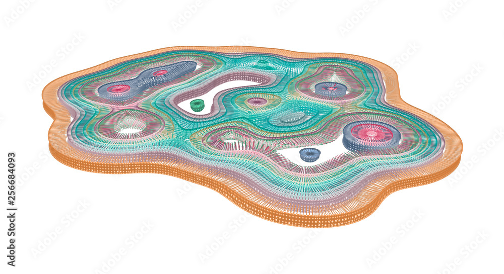Cross Section Of An Organic Cell With Intracellular Organelles. Medical ...