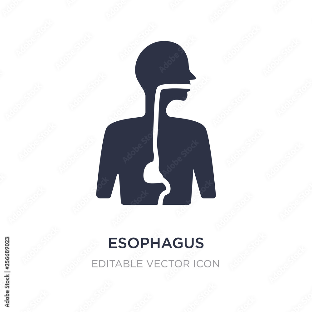 esophagus icon on white background. Simple element illustration from ...