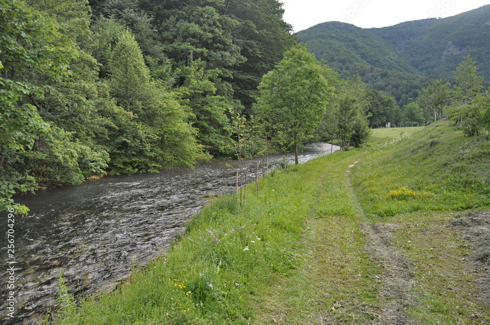 Pliva River