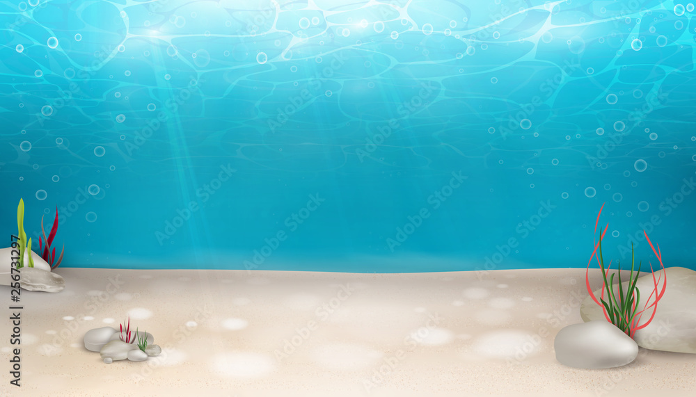 Ocean Scene Backdrop