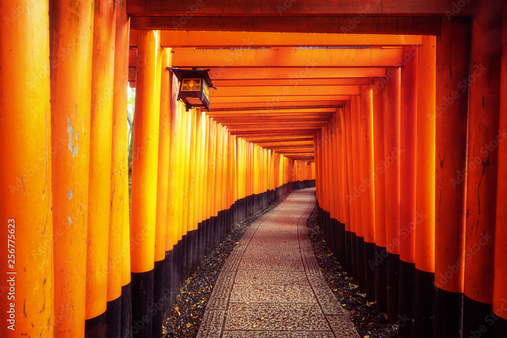 Red Torii gates in Fushimi Inari Shrine in Kyoto, Japan. It is the ...